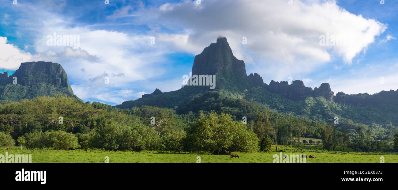 Daily life and nature live together in Moorea, French Polynesia ...