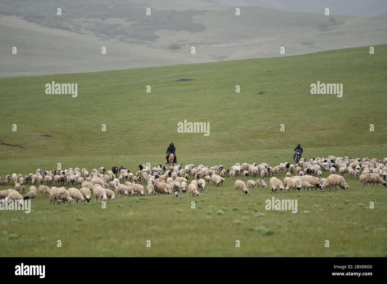 Horqin grassland hi-res stock photography and images - Alamy