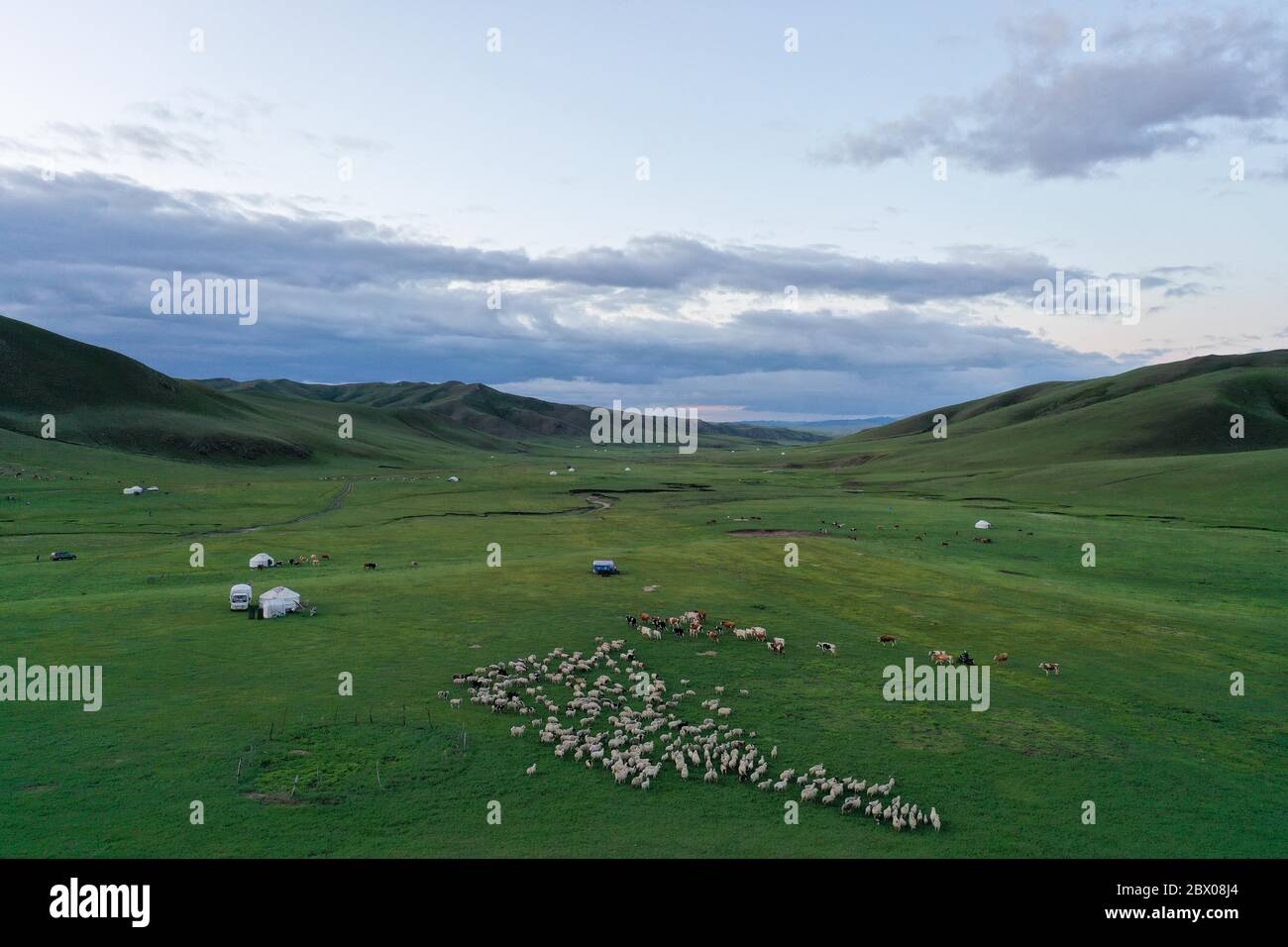 Horqin grassland hi-res stock photography and images - Alamy