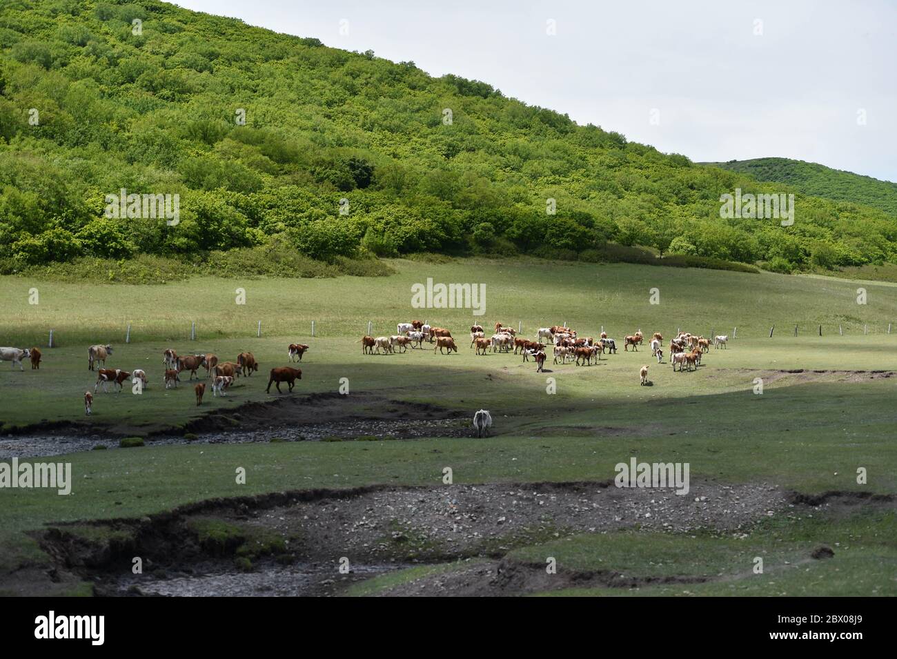 Horqin grassland hi-res stock photography and images - Alamy