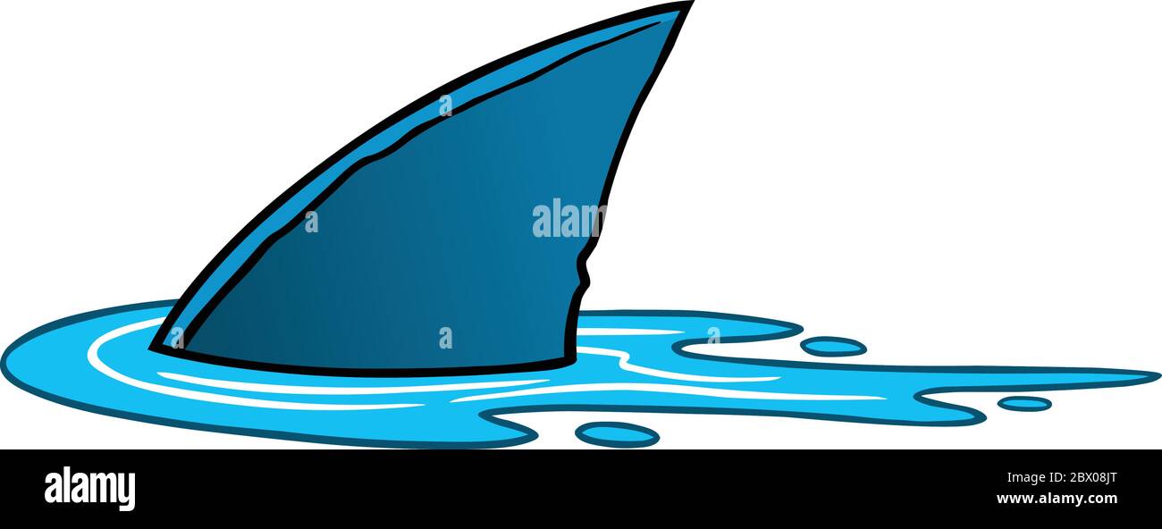 Shark Fin Illustration