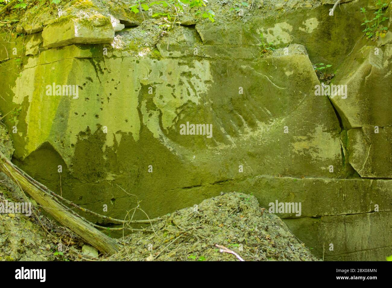 Abandoned green sandstone quarry overgrown with vegetation Stock Photo ...