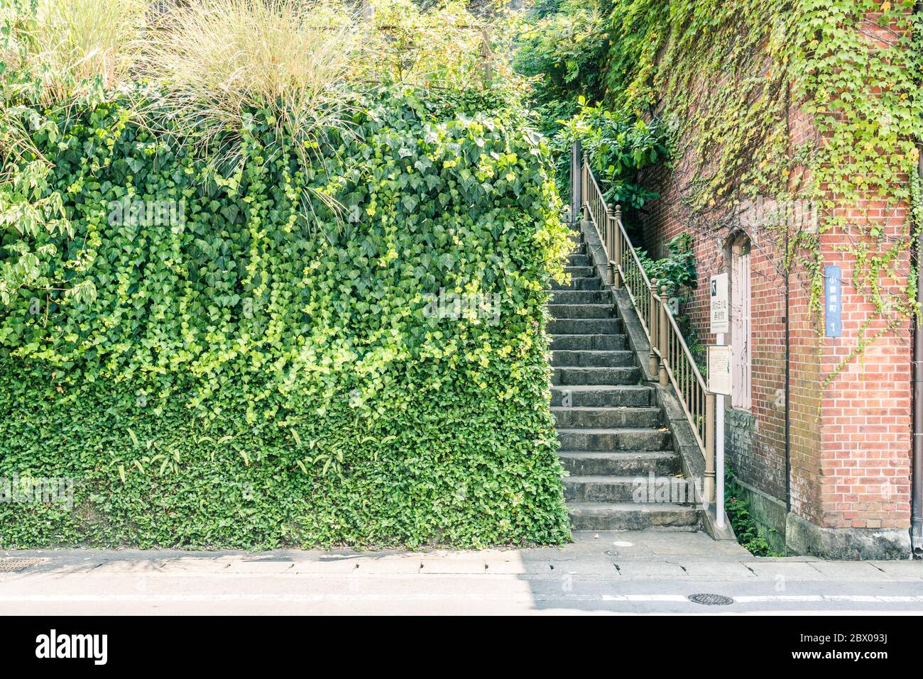 ivy on brick wall with window and door Stock Photo - Alamy