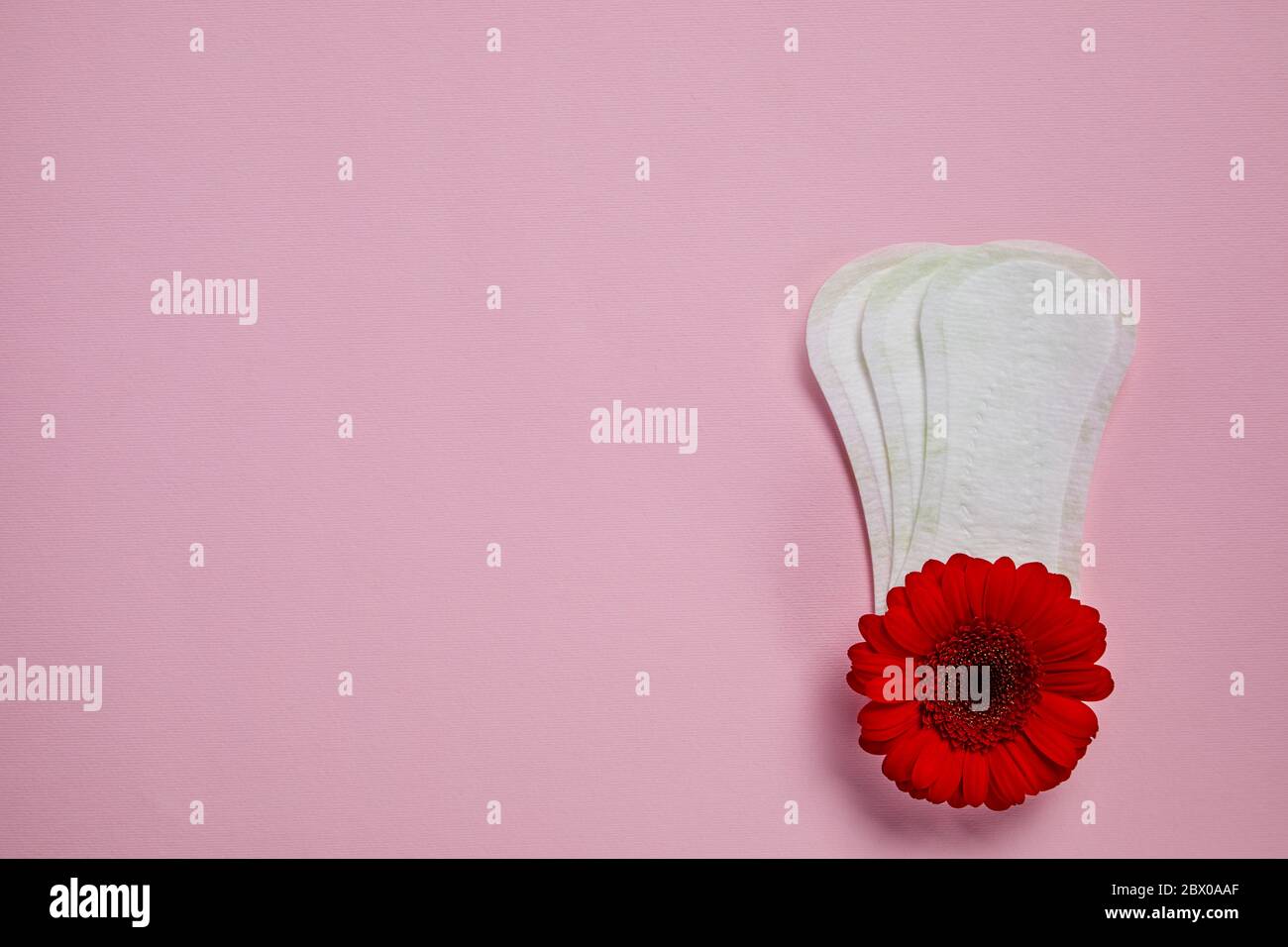 menstrual pads and red flower isolated on pink background, top view ...