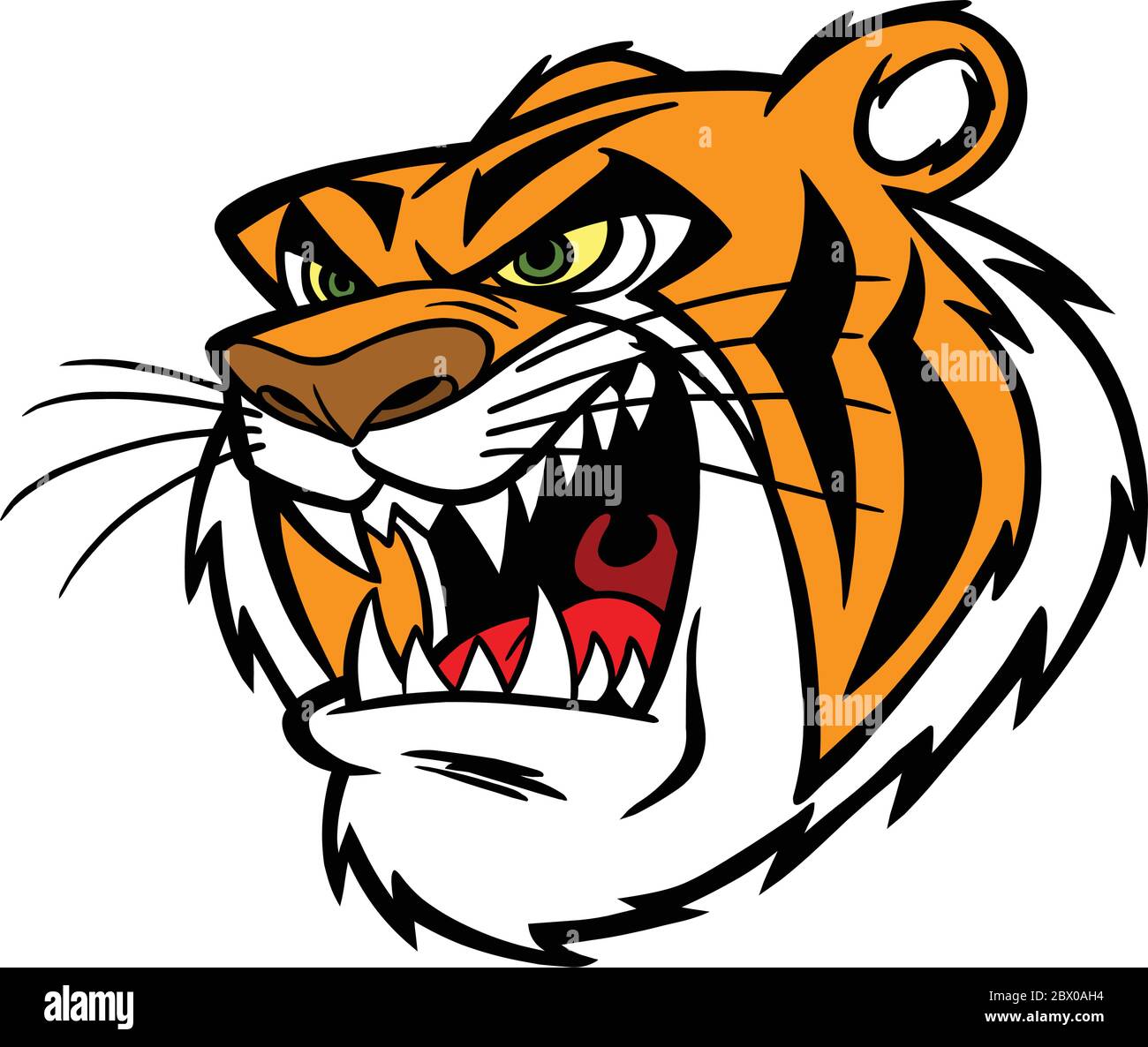 Tiger Growl - An illustration of a Tiger Growling Stock Vector Image ...