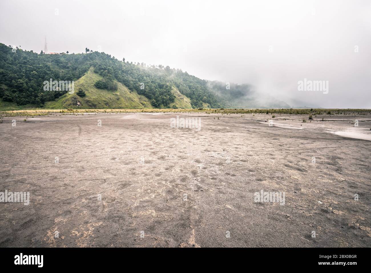 grass on barren sand under cloudy sky after rain Stock Photo - Alamy