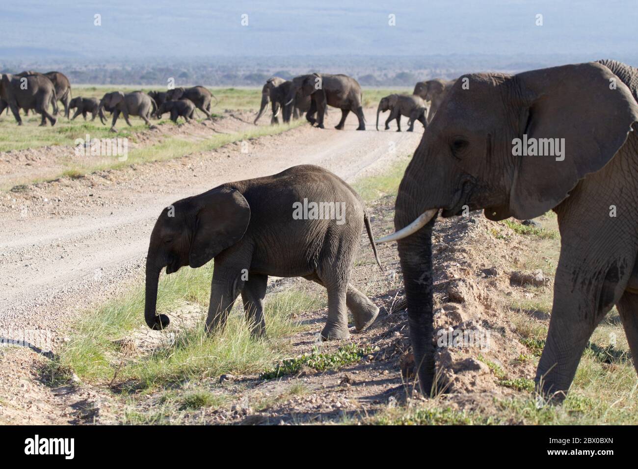 Top facet hi-res stock photography and images - Alamy