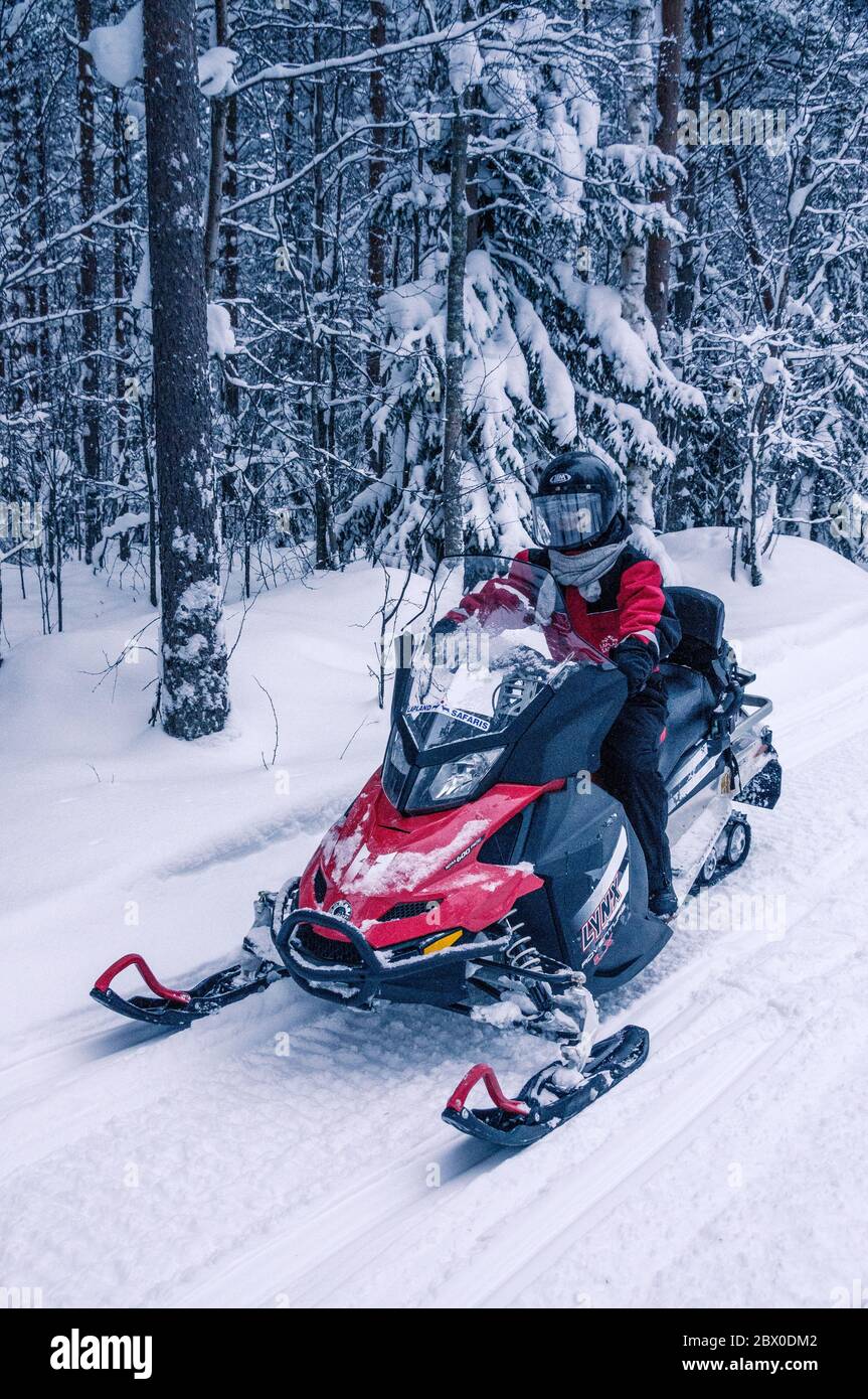snowmobile adventure in finish lapland during winter Stock Photo - Alamy