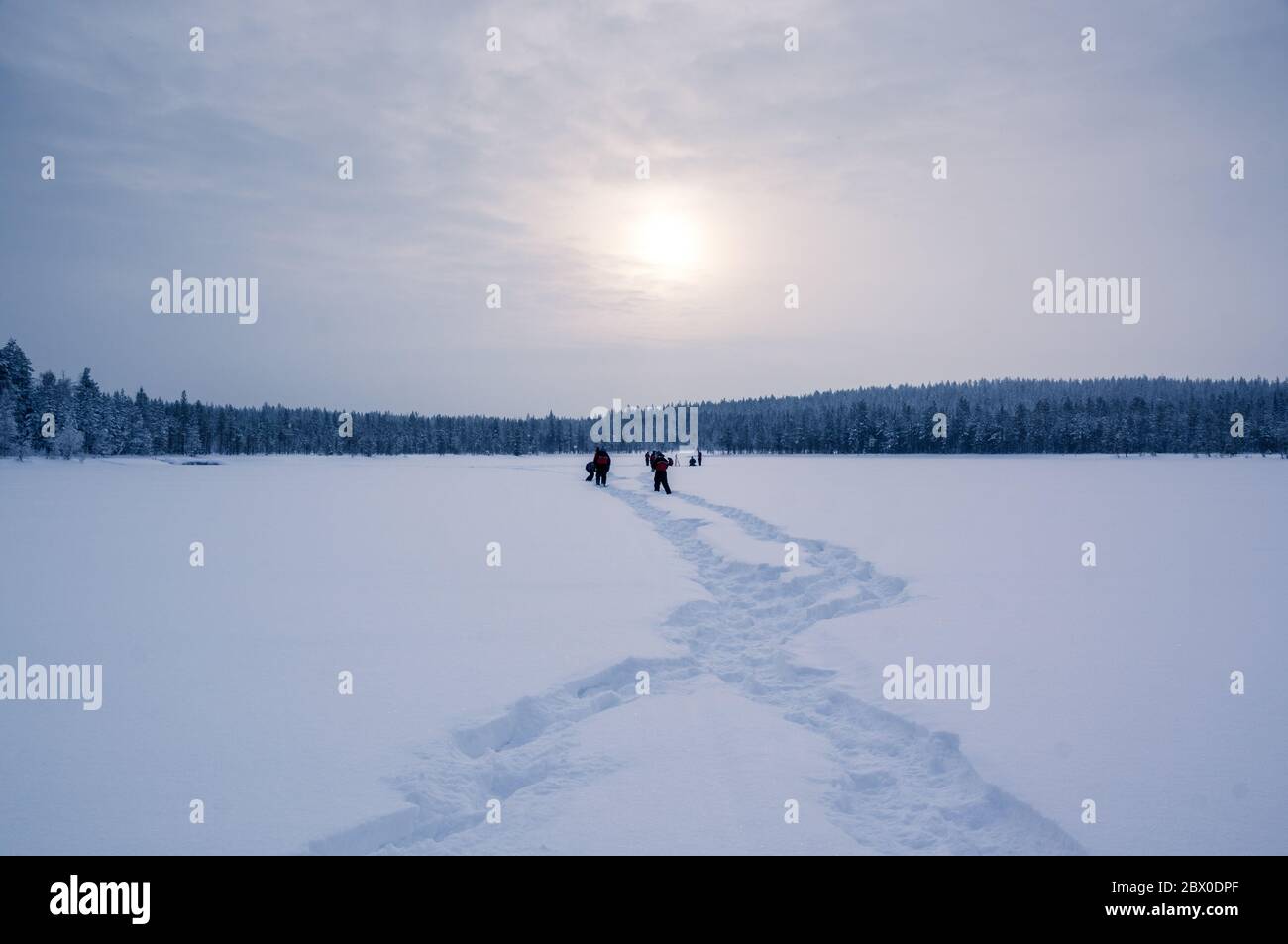 frozen lake in winter in finish lapland Stock Photo - Alamy
