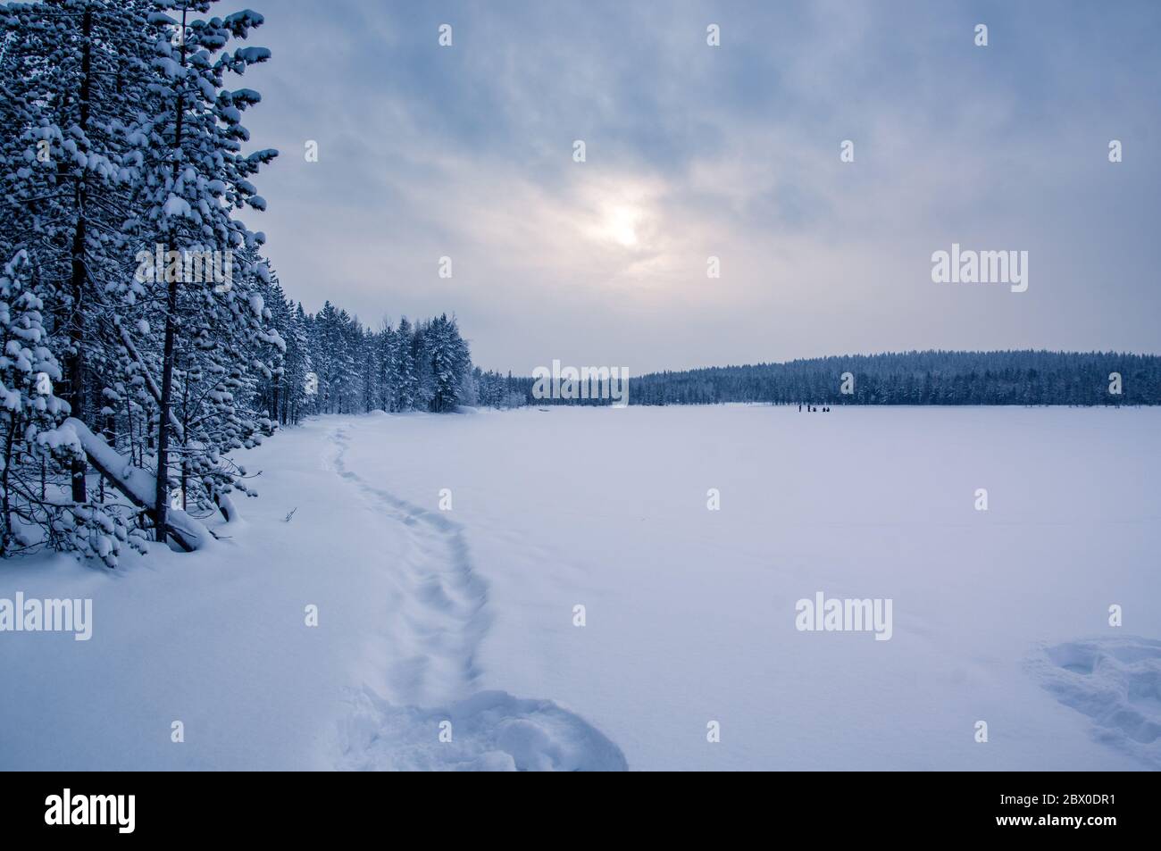 frozen lake in winter in finish lapland Stock Photo - Alamy