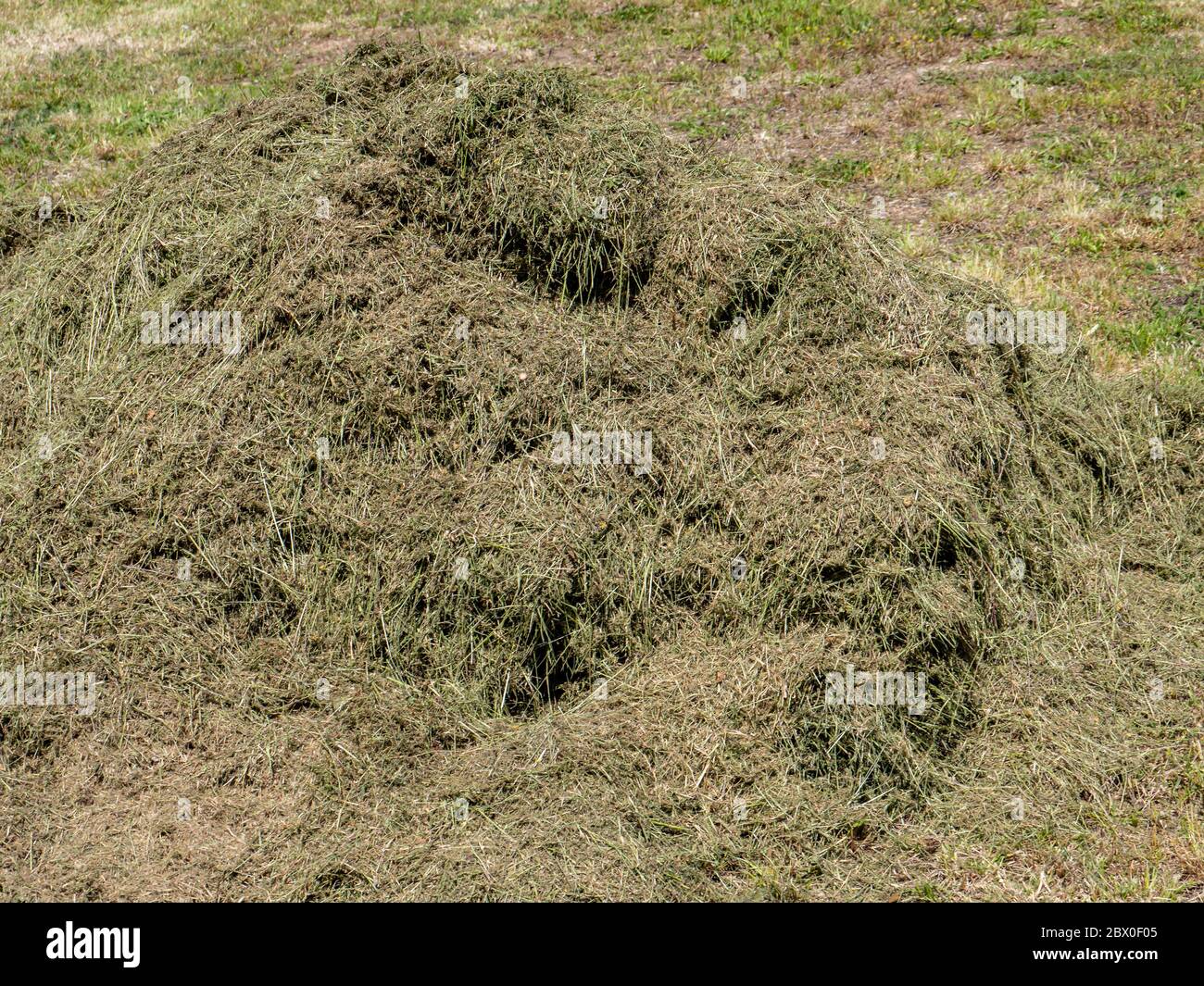 Roadside grass cutting hi-res stock photography and images - Alamy
