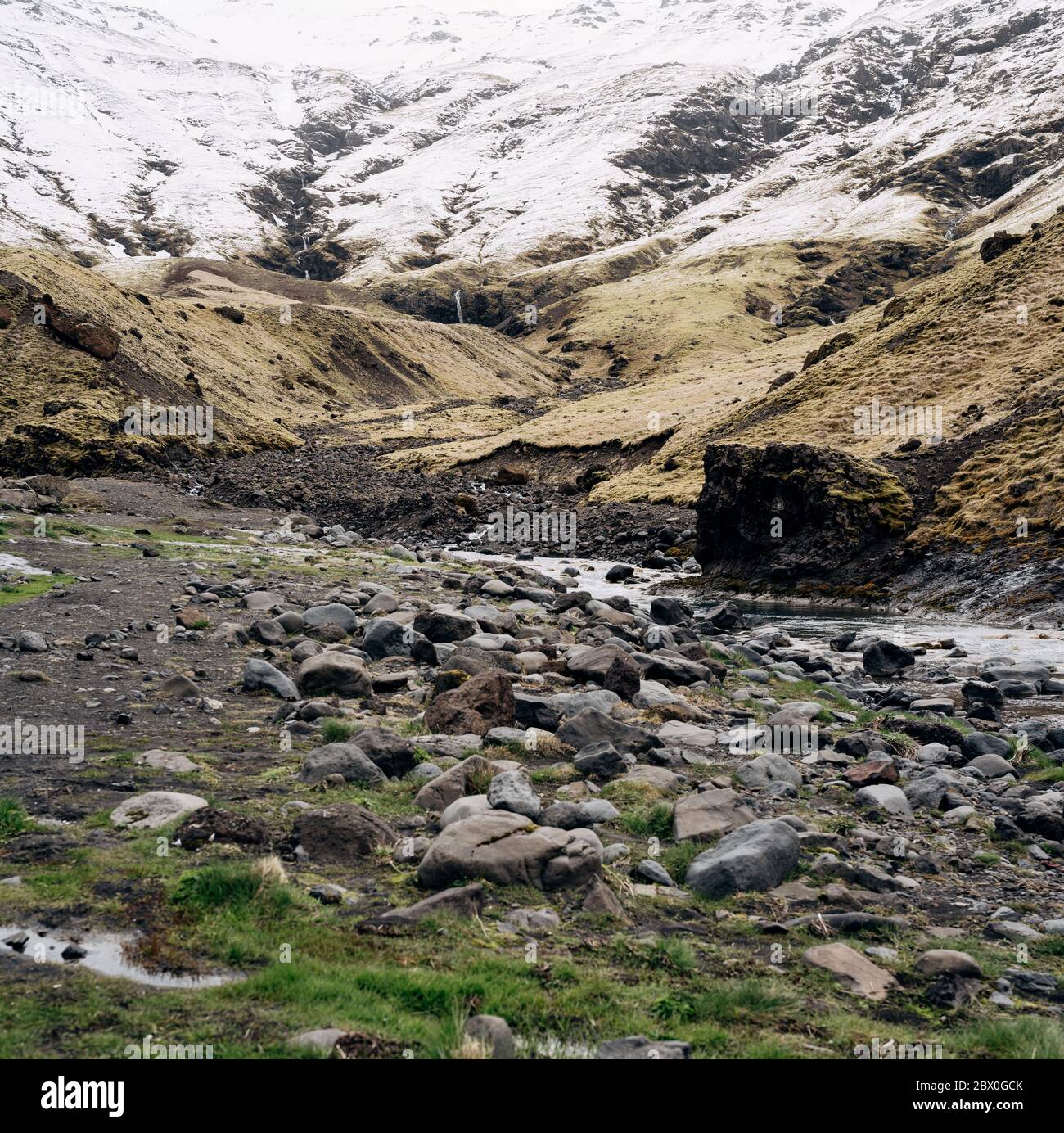 Shallow little mountain river, flows from snow-capped mountains into ...