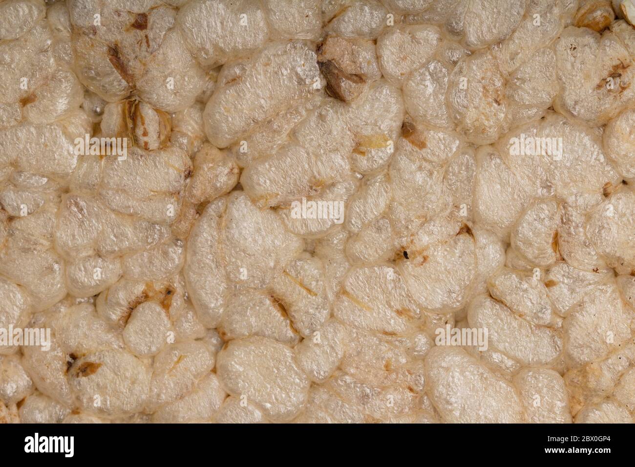detailed look at the whole grain bread . texture background Stock Photo ...