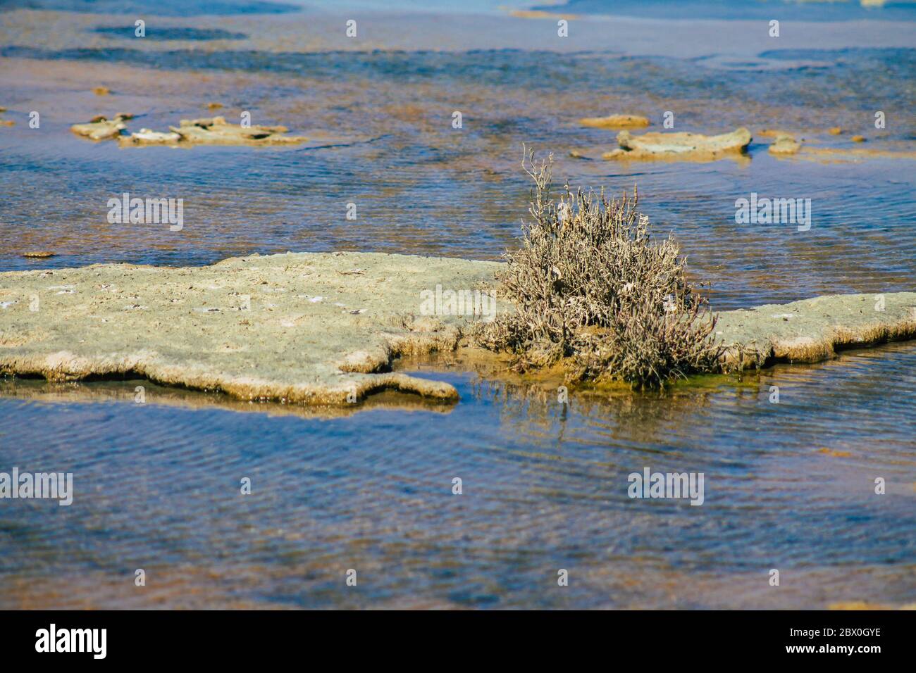 Limassol Cyprus June 03, 2020 View of Limassol Salt Lake, the largest ...