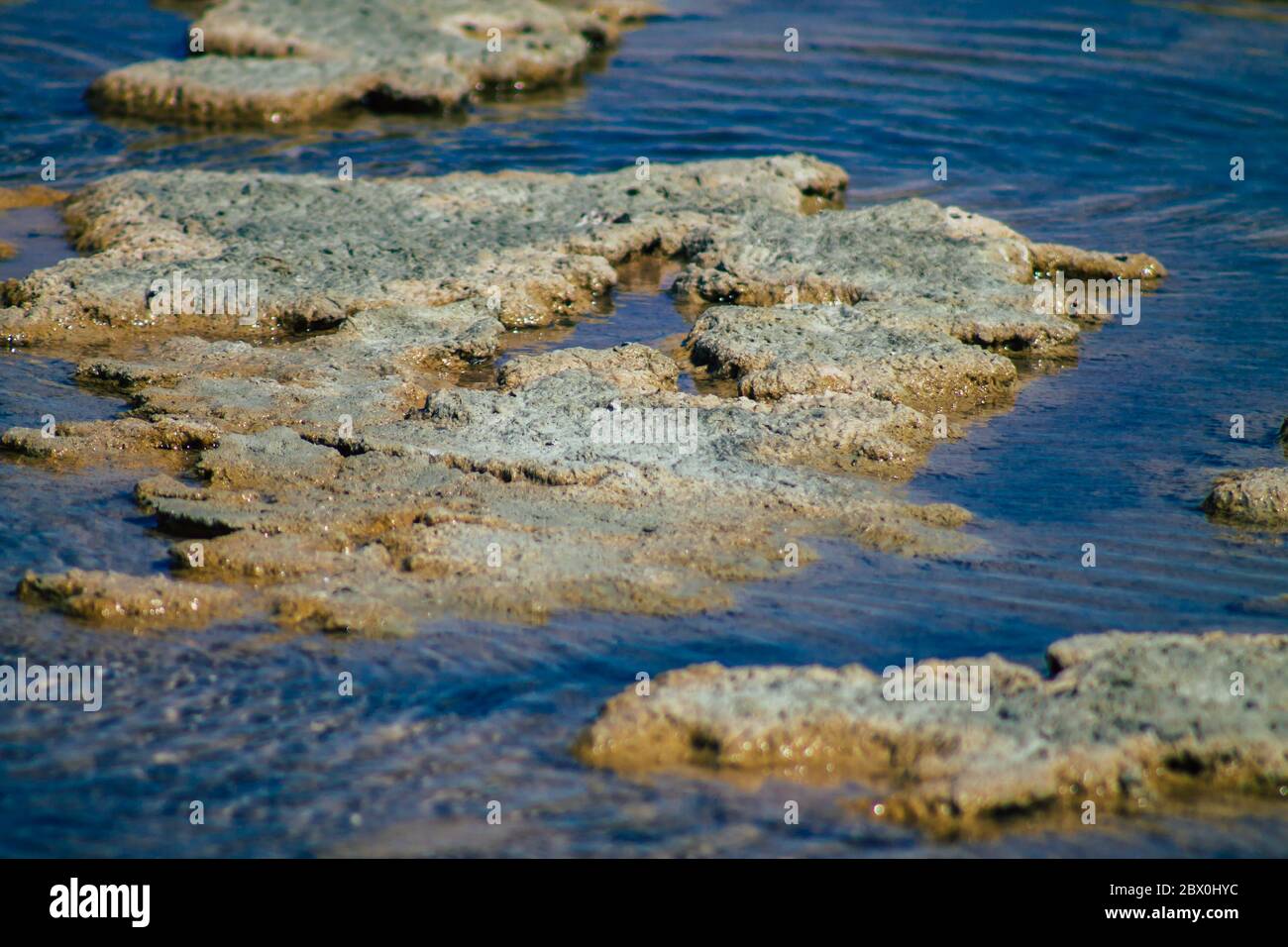 Largest Body Of Salt Water