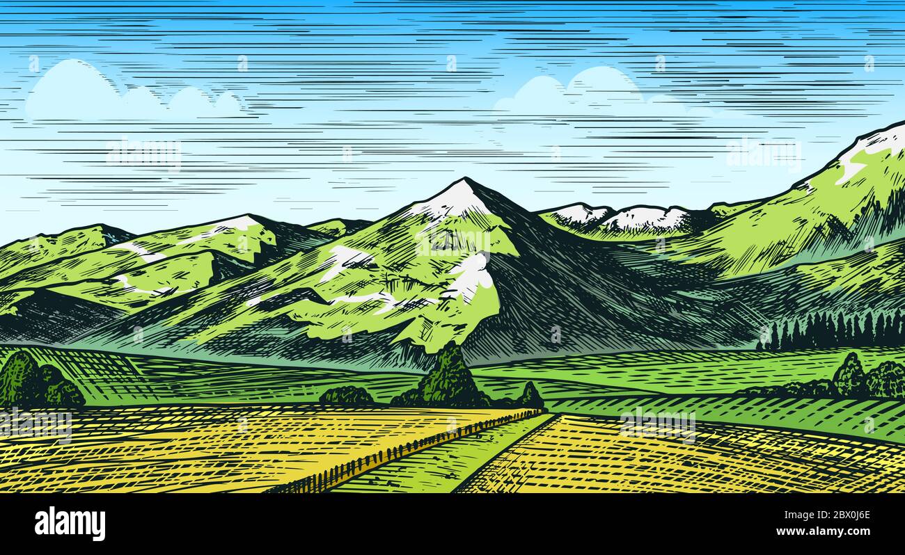 Alpine valley green field Stock Vector Images - Alamy