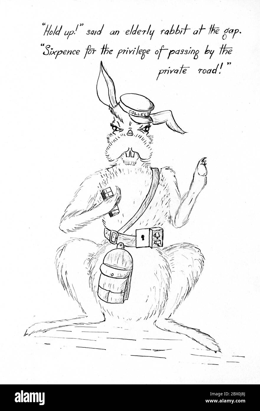 Rabbit drawing Black and White Stock Photos & Images - Alamy