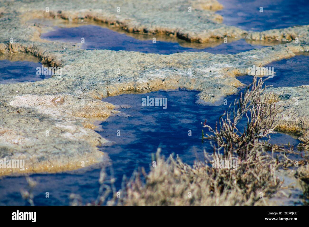Largest Body Of Salt Water