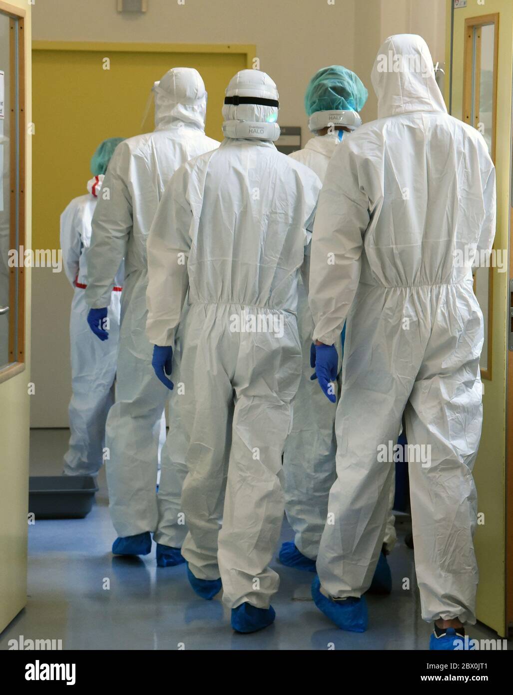 Tropical infection hi-res stock photography and images - Alamy