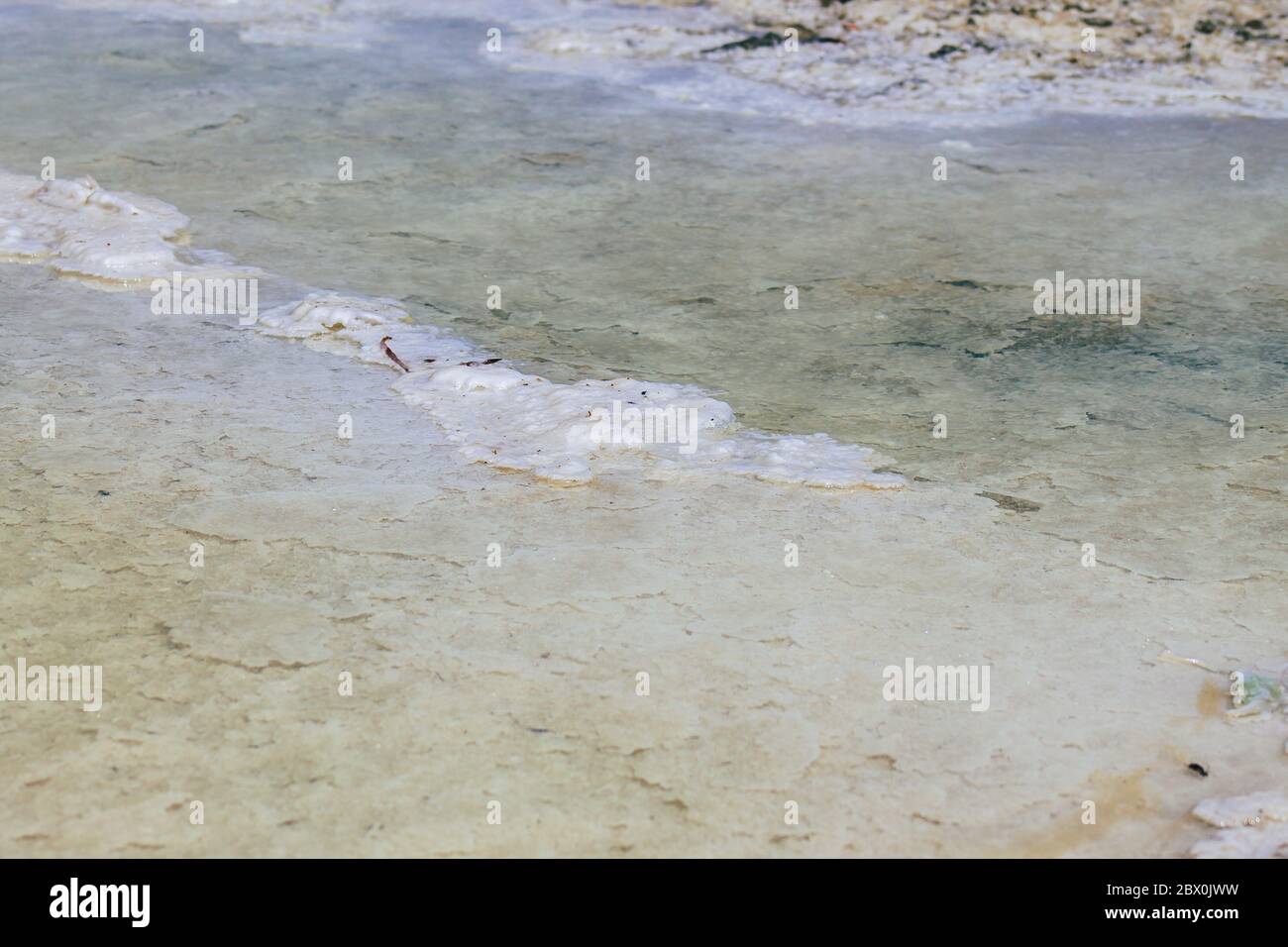 Largest Body Of Salt Water