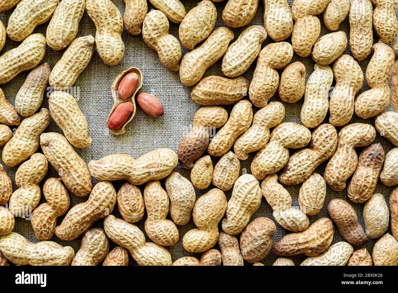 Background of unshelled peanuts and a few peeled nuts. Horizontal ...
