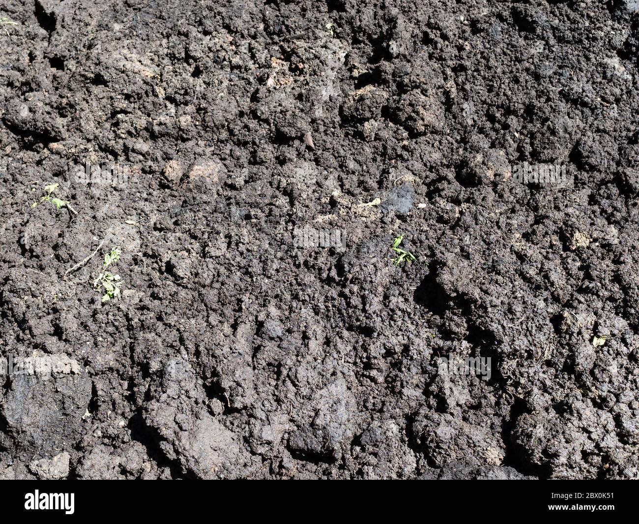Wet soft earth hi-res stock photography and images - Alamy