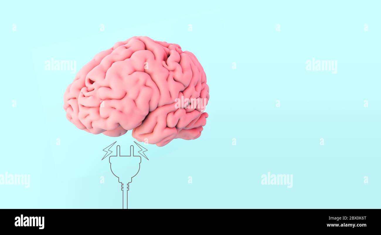 human brain on blue background 3d rendering WITH PLUG ILLUSTRATION ...