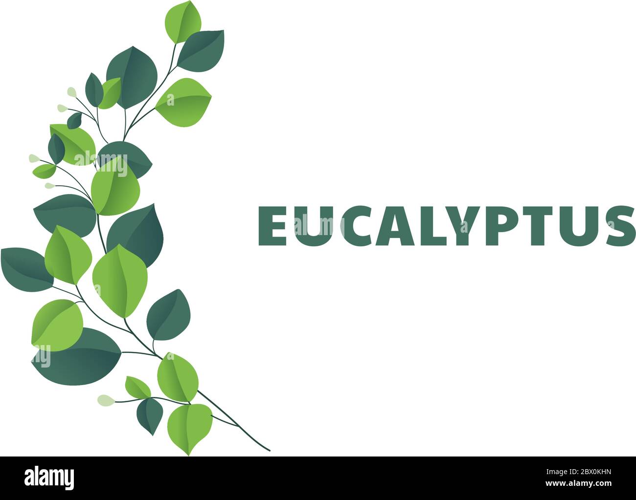 Brunch tree green leaves Cut Out Stock Images & Pictures - Alamy