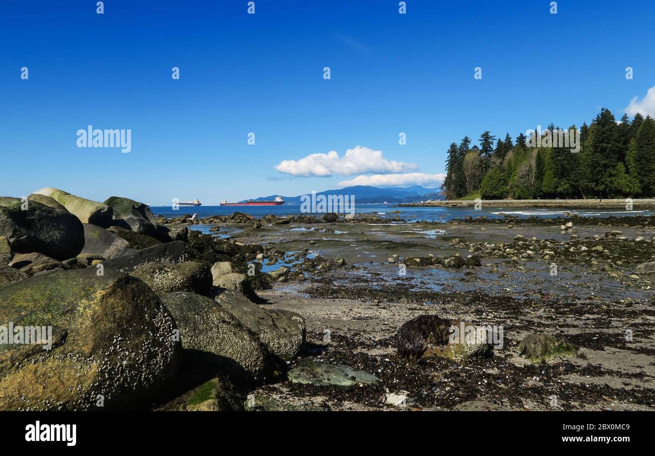 English Bay, Vancouver Stock Photo - Alamy