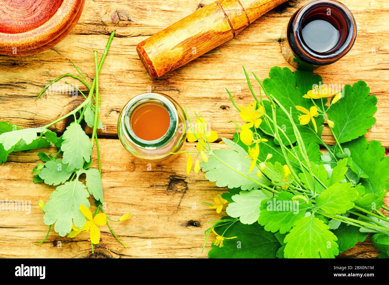 Celandine herb hi-res stock photography and images - Alamy