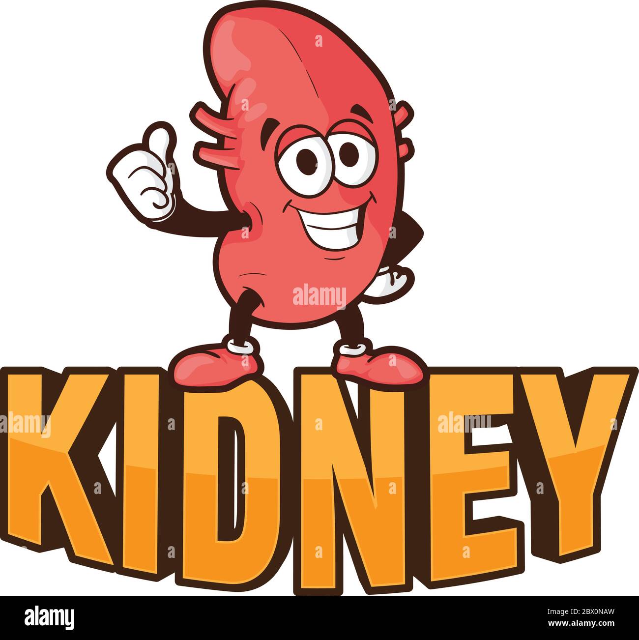 Kidney Cartoon