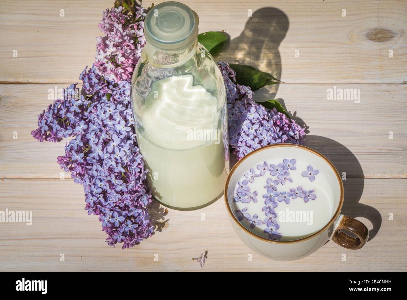 Milky white with purple flower hi-res stock photography and images - Alamy
