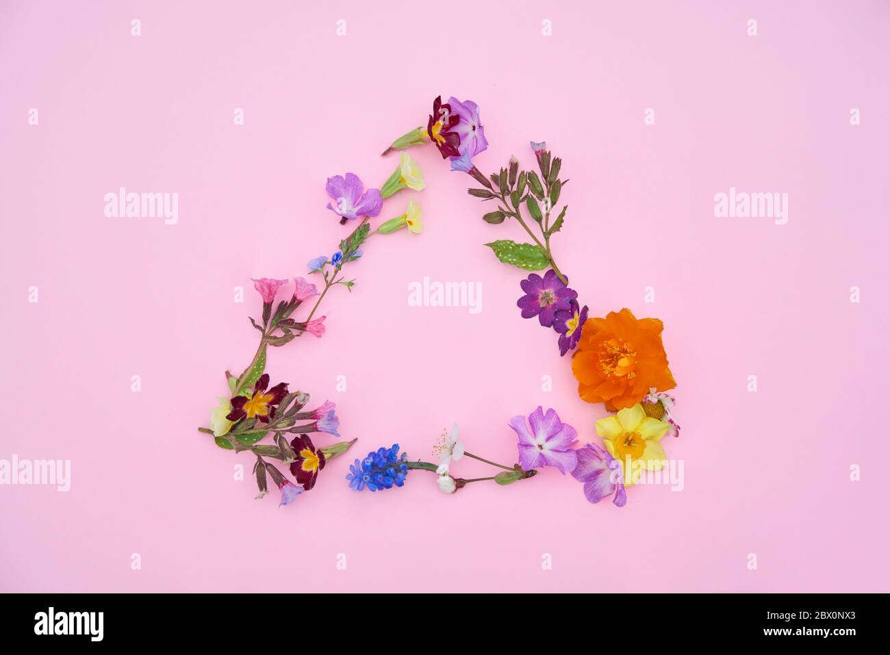 Summer garden flowers frame on the pink background Stock Photo - Alamy