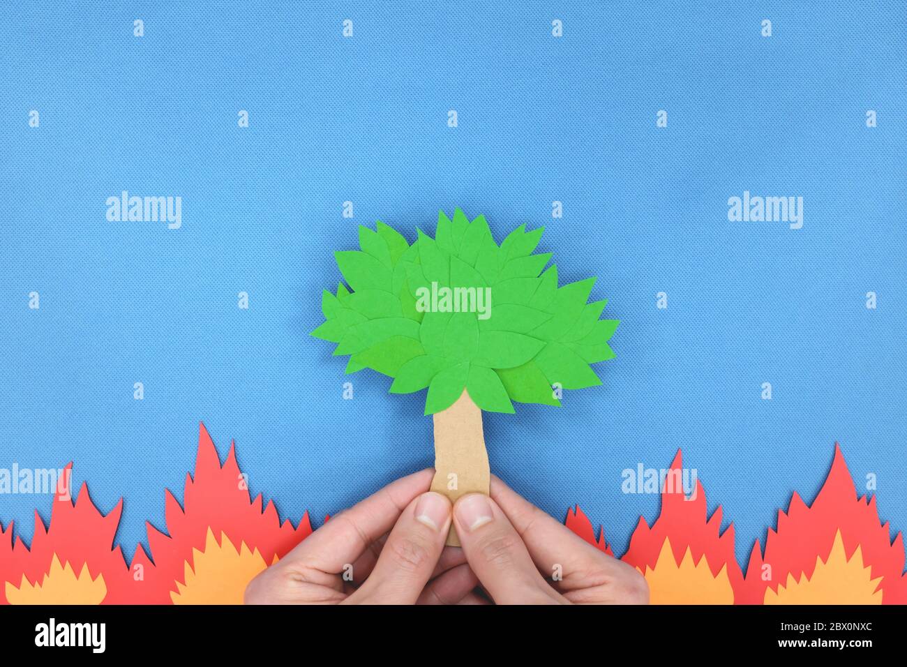 Forest fire and wildfire concept. Hands holding a tree on fire. Blue ...