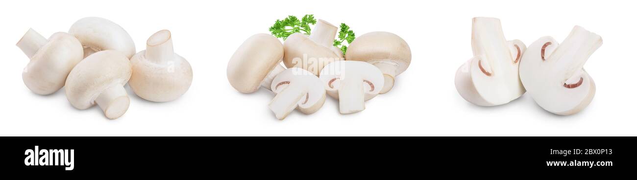 Fresh mushrooms champignon isolated on white background with clipping ...