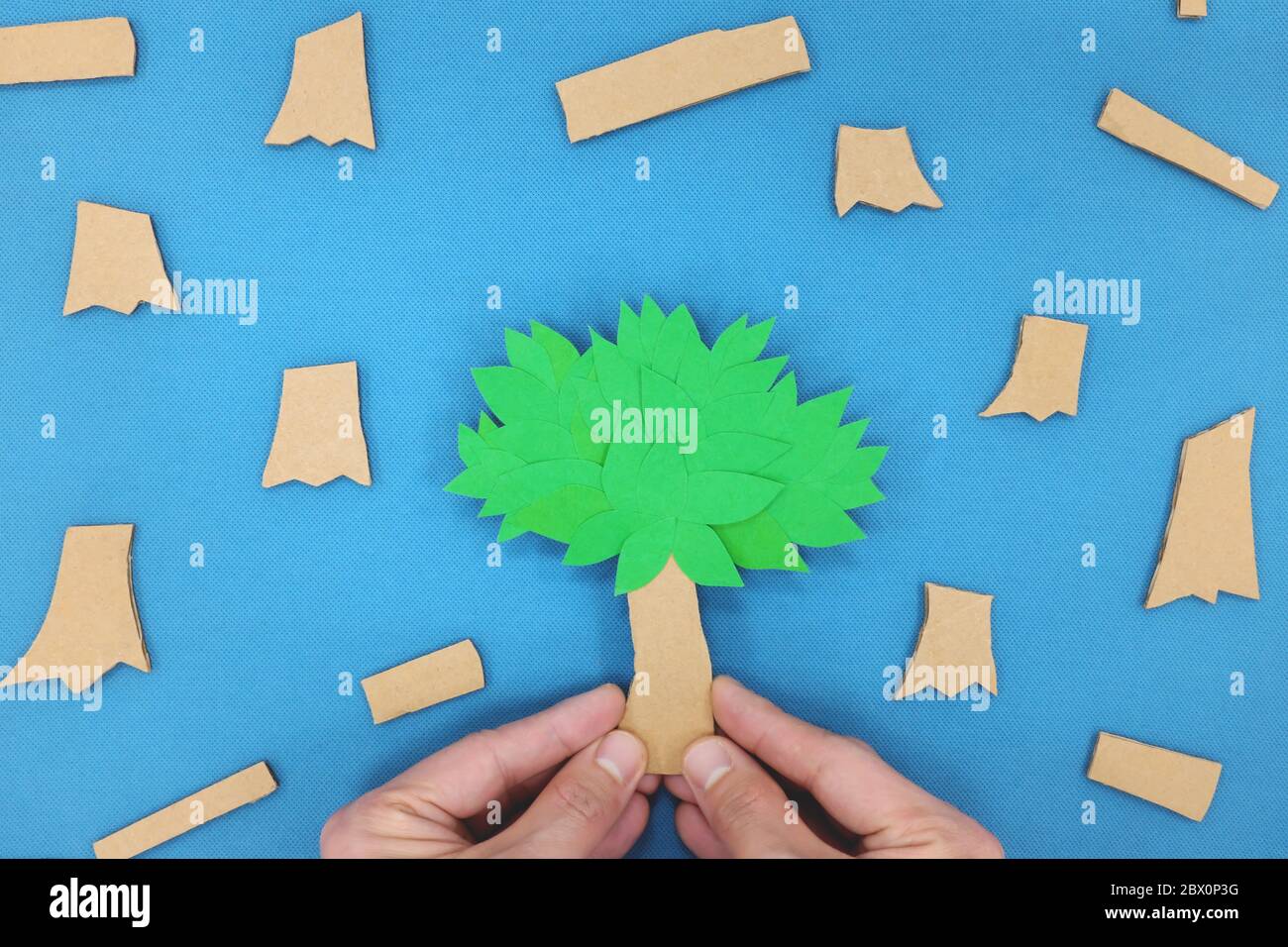 Deforestation and reforestation concept. Hands holding a tree on a ...