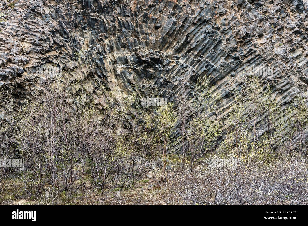 Columnar joint hi-res stock photography and images - Alamy