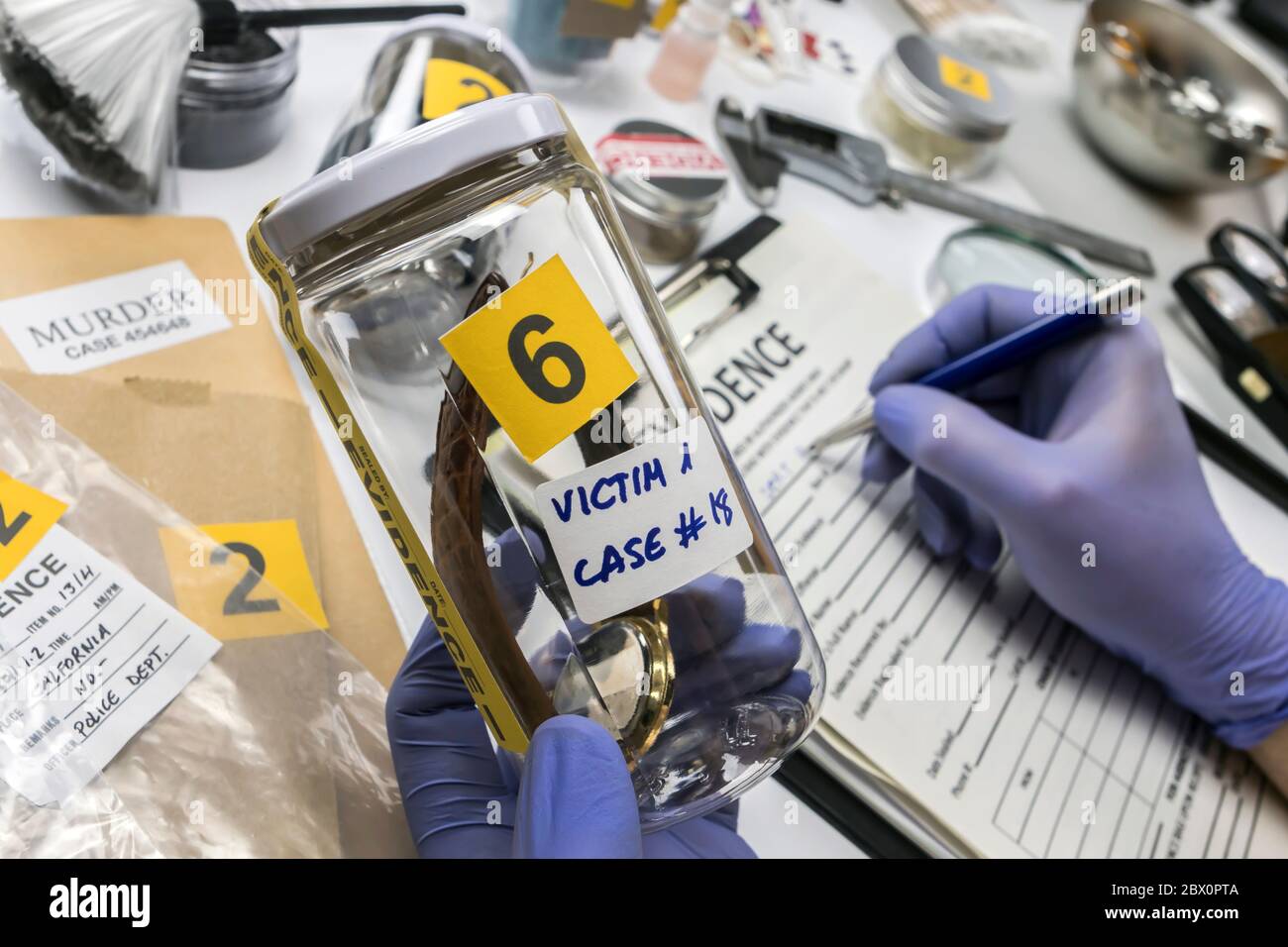 Police scientist working in Criminalistic Lab, victim clock analysis ...