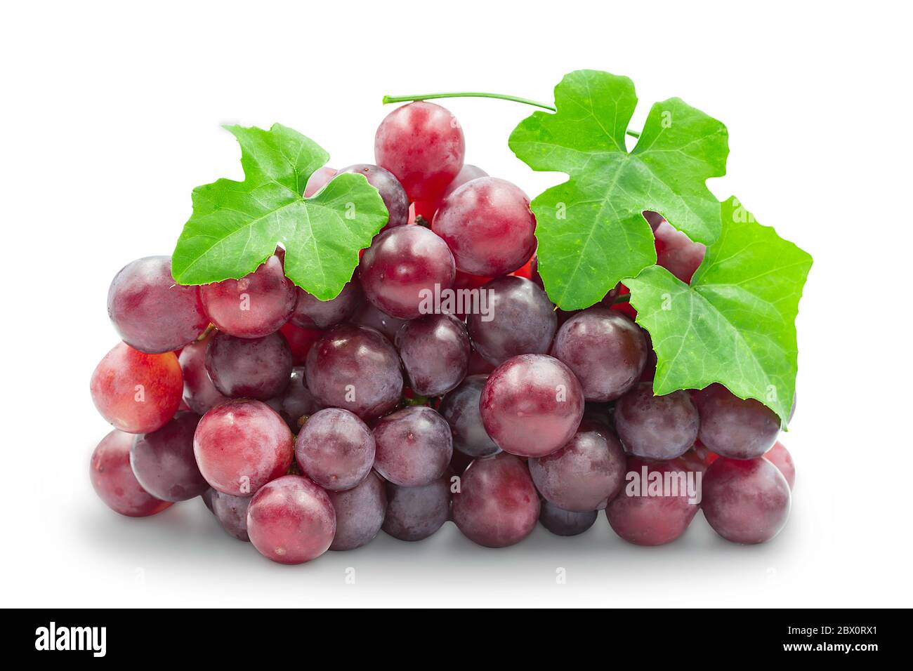 Large bunch fresh ripe organic red grape with leaves on white isolated ...