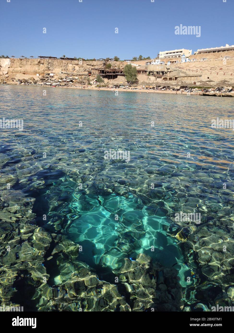 a clear sea water of the red sea Stock Photo - Alamy