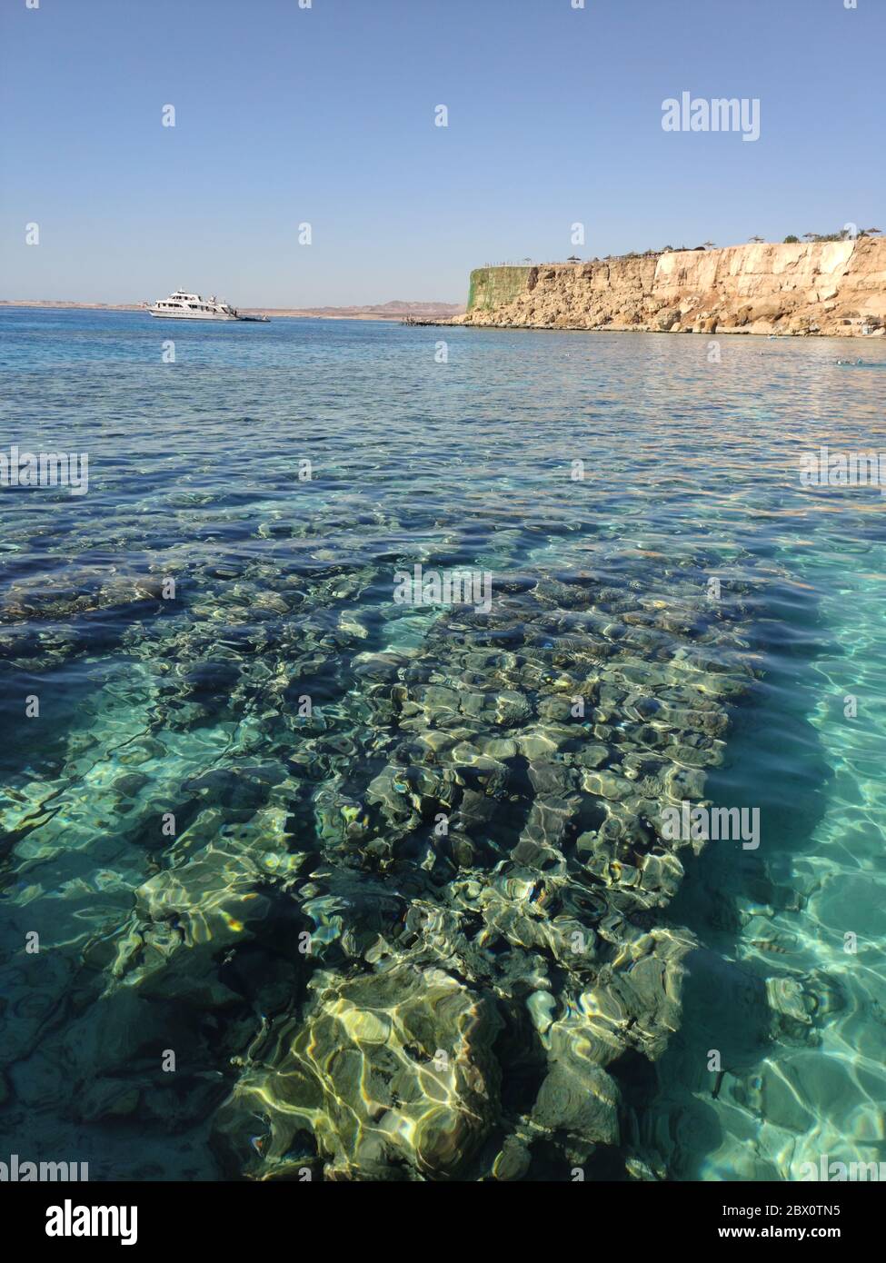 a clear sea water of the red sea Stock Photo - Alamy