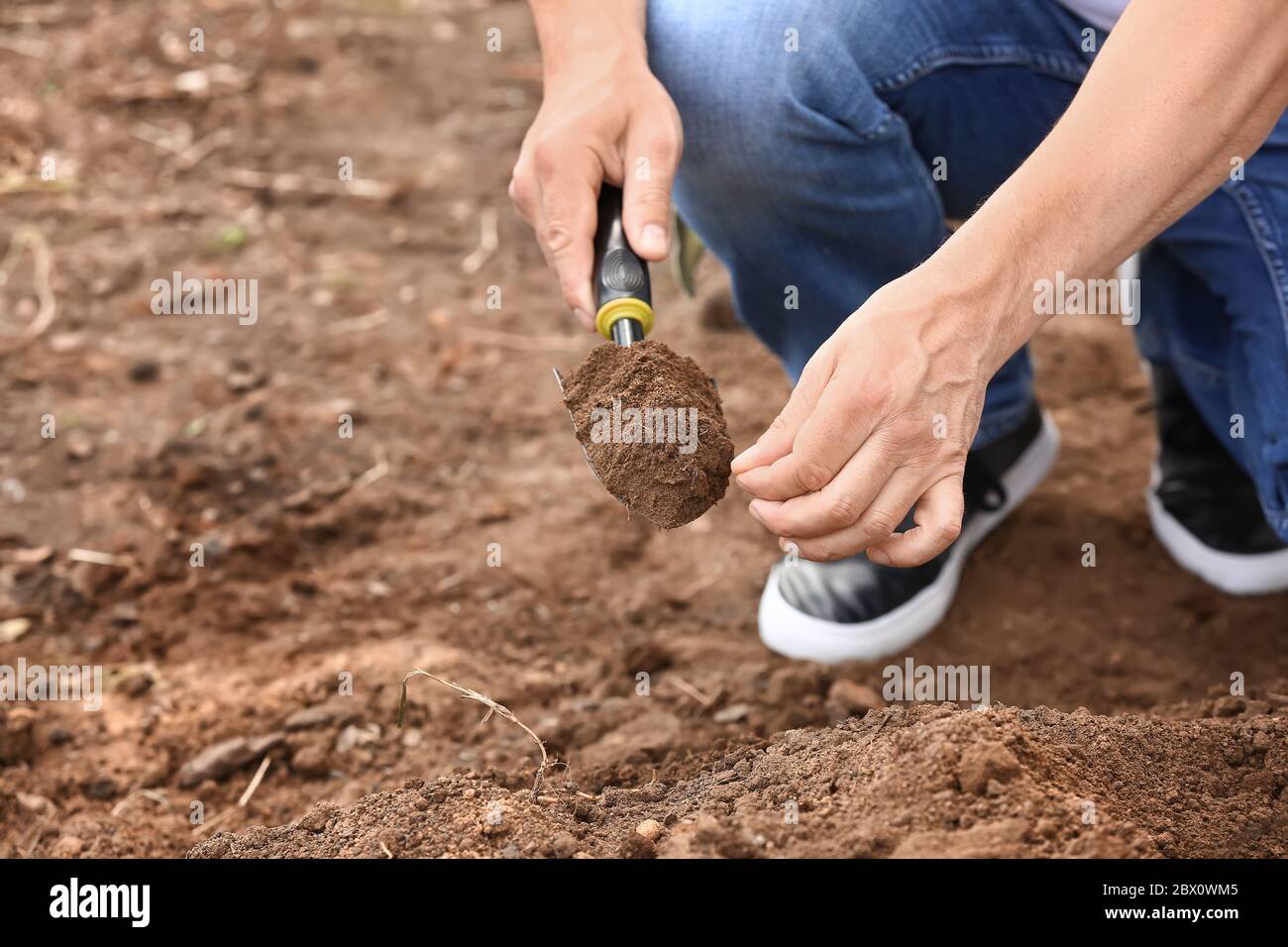 Taking soil sample hi-res stock photography and images - Alamy
