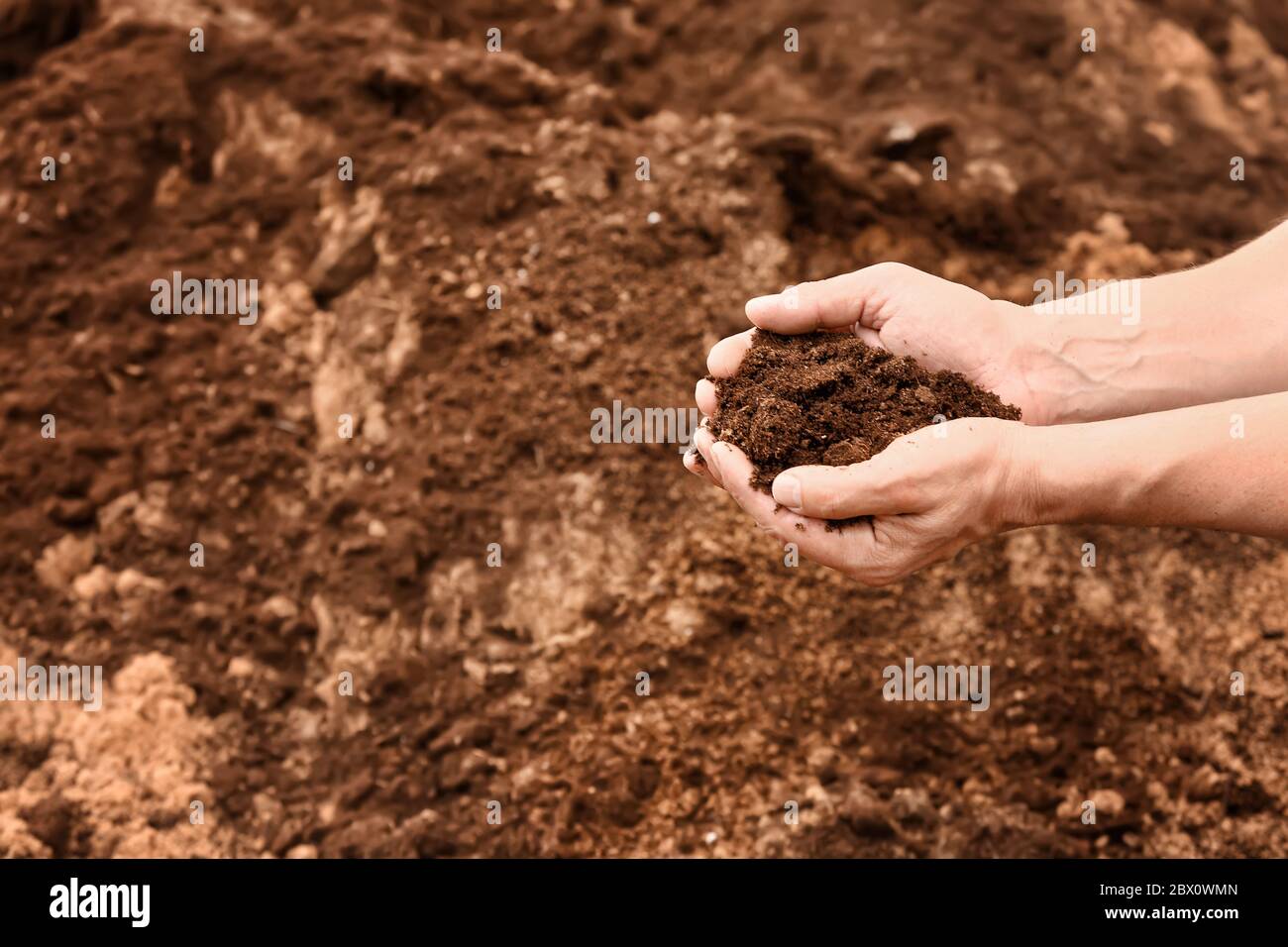 Soil testing for farming hi-res stock photography and images - Alamy