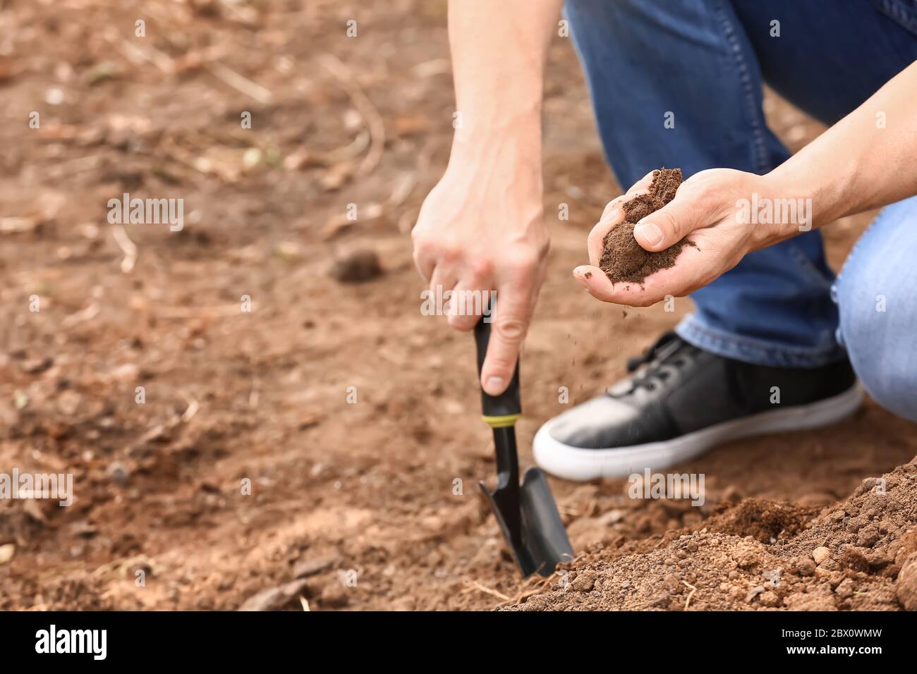Man testing rich soil outdoors Stock Photo - Alamy