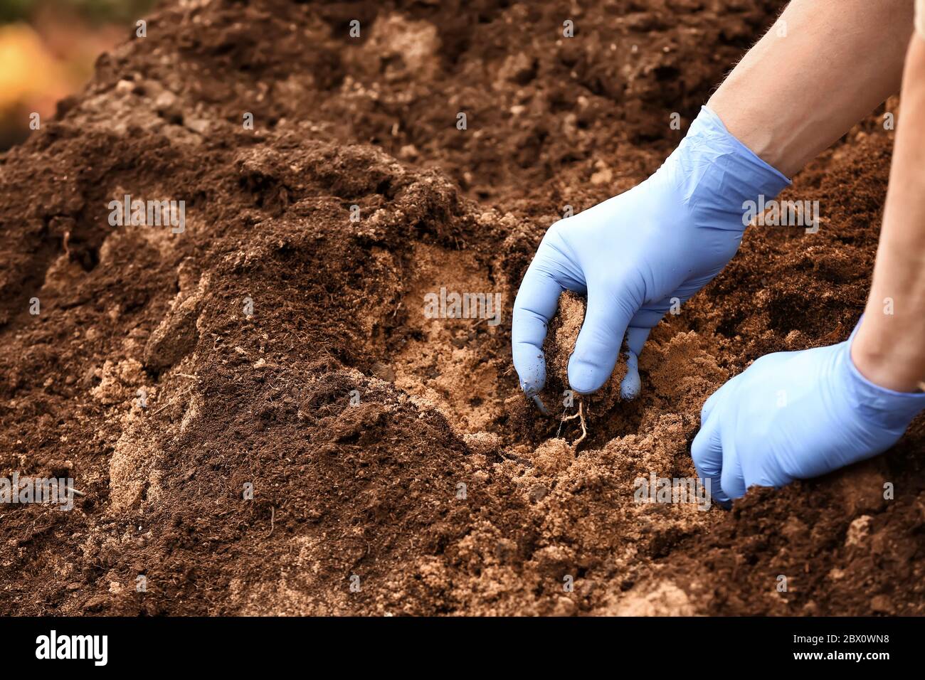 Soil testing for farming hi-res stock photography and images - Alamy