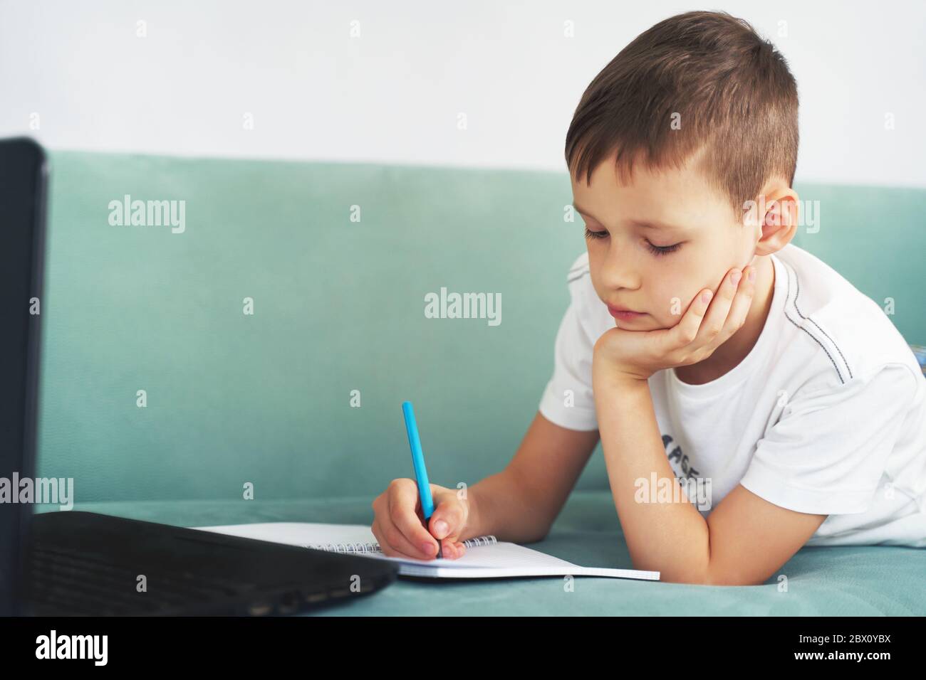 distance learning at home with students . students study at home Stock ...