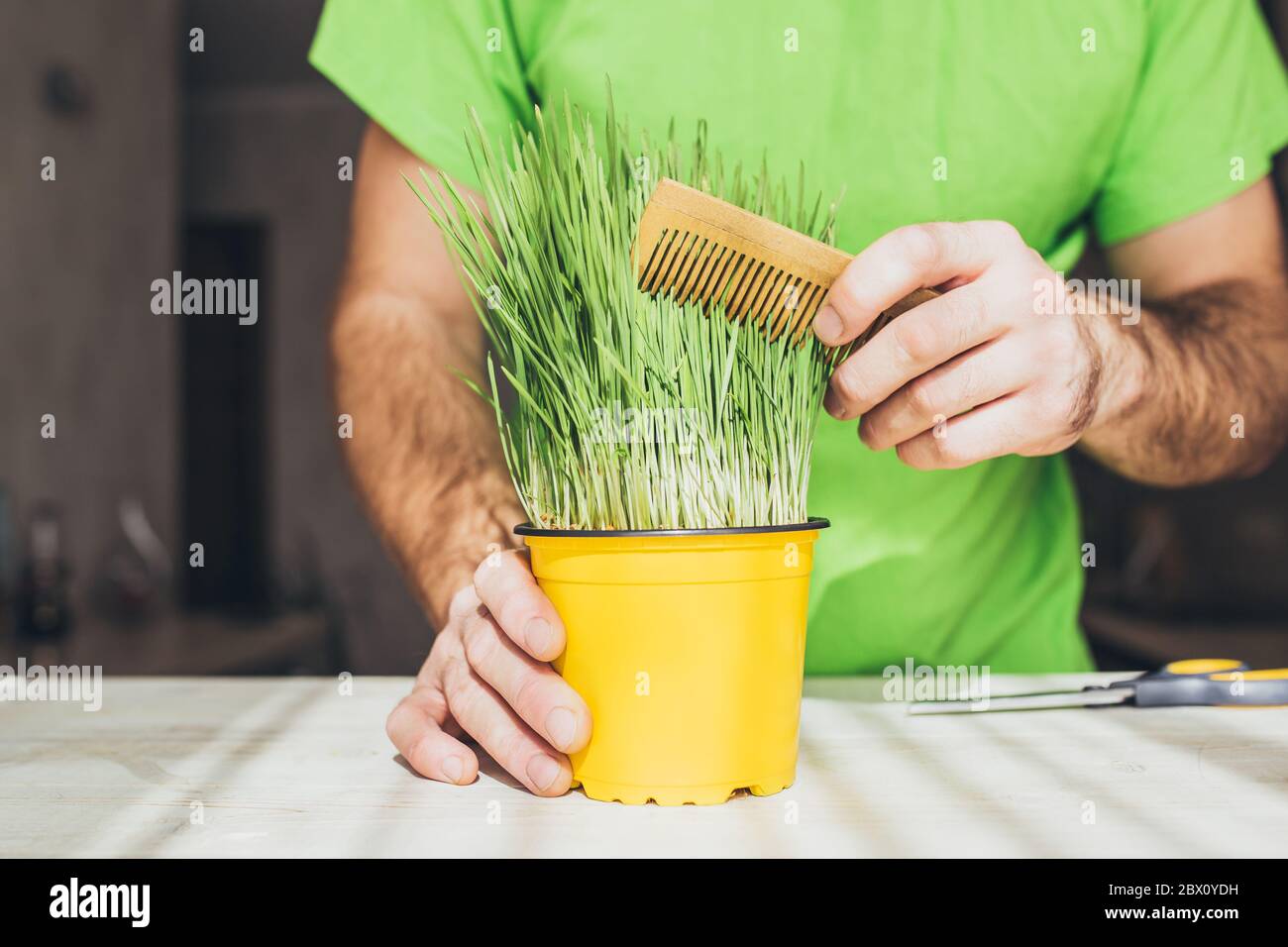 A man creates a green grass hairstyle - hairdressing and barber concept ...