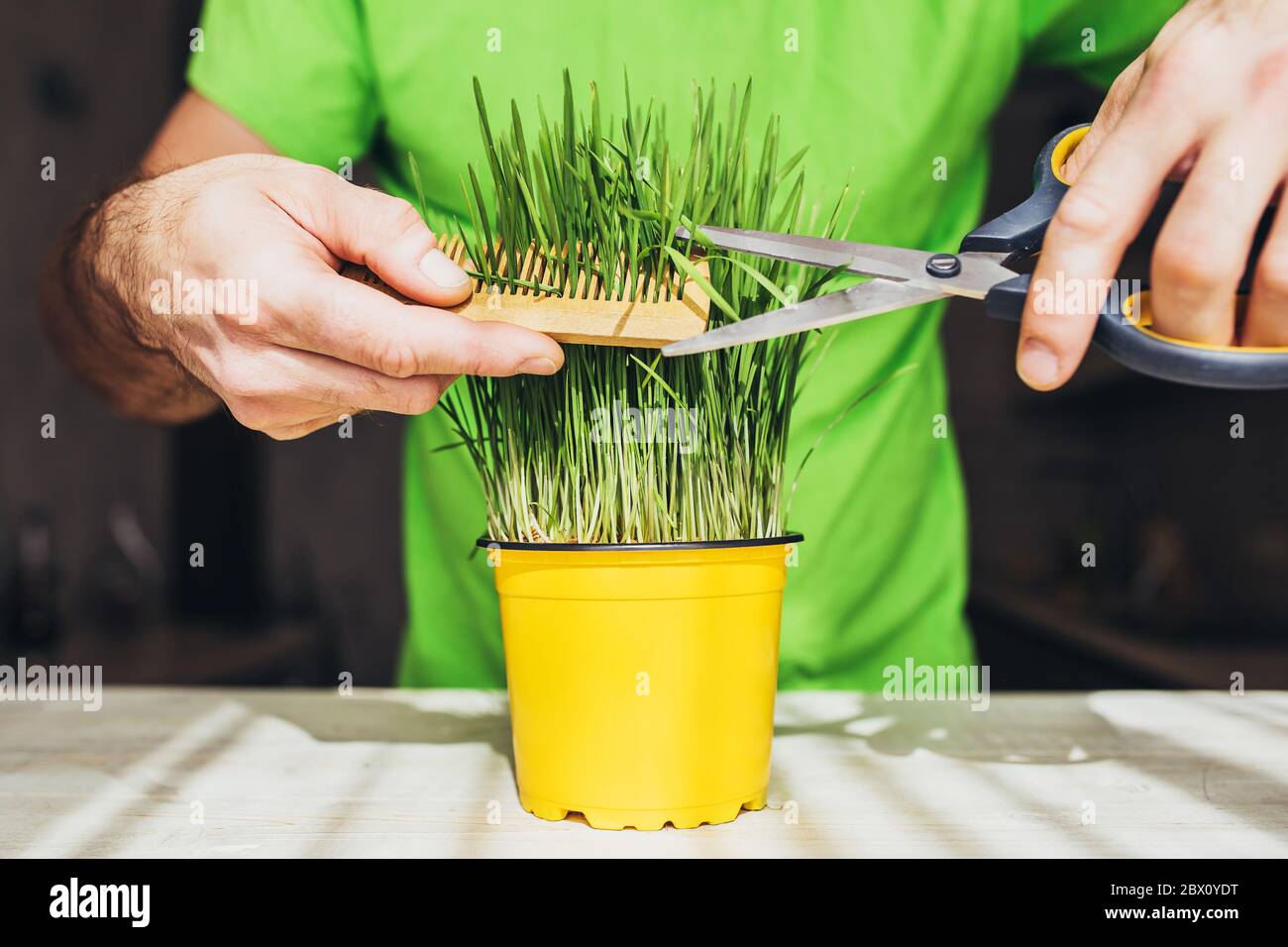 Hand with scissors cuts lawn hi-res stock photography and images - Alamy