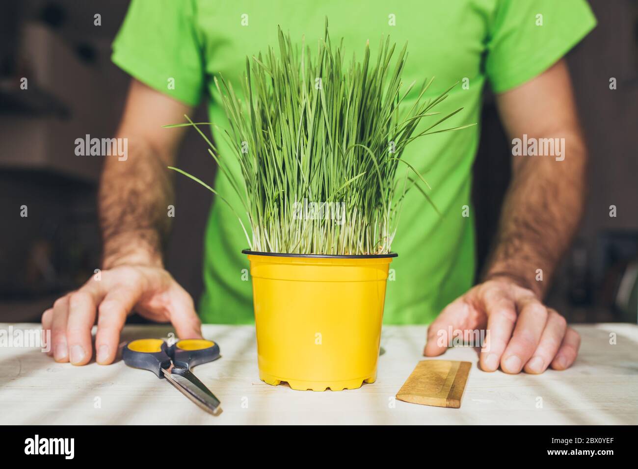Pot on head cut hair hi-res stock photography and images - Alamy