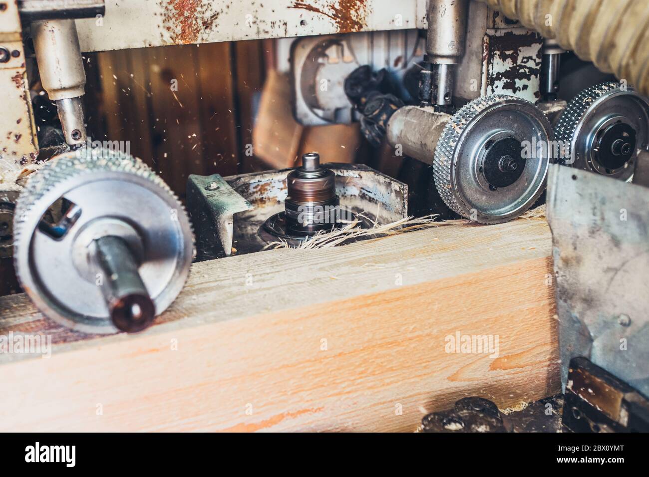 The guide rollers in a molding machine for profiling timber - sawmill ...